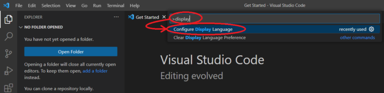 VSCodeを使っていたら日本語表示が反映されなくなりました | ふみの会社経営日記